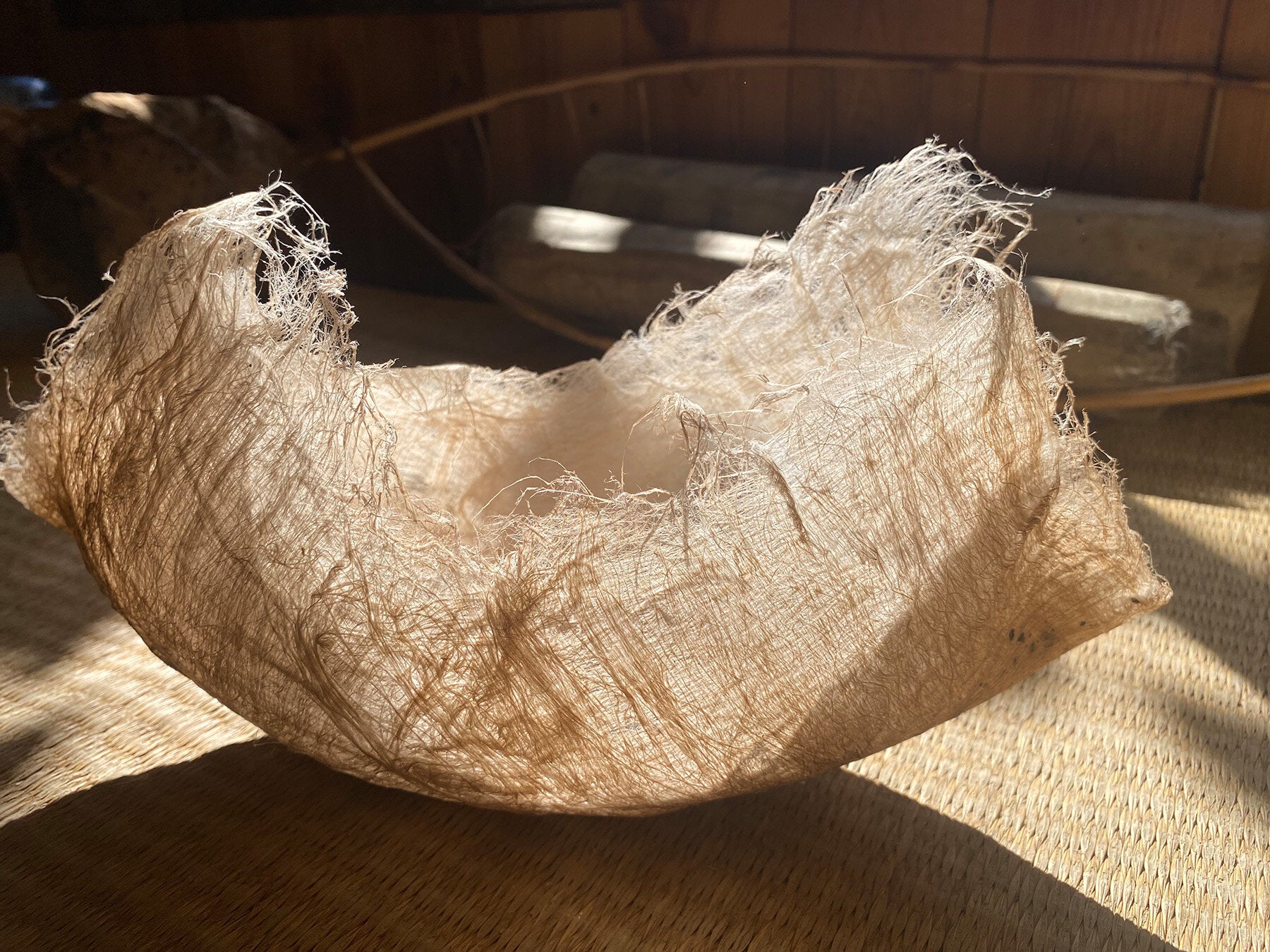 Shaping Space with Flax Paper | The Morgan Conservatory of Papermaking
