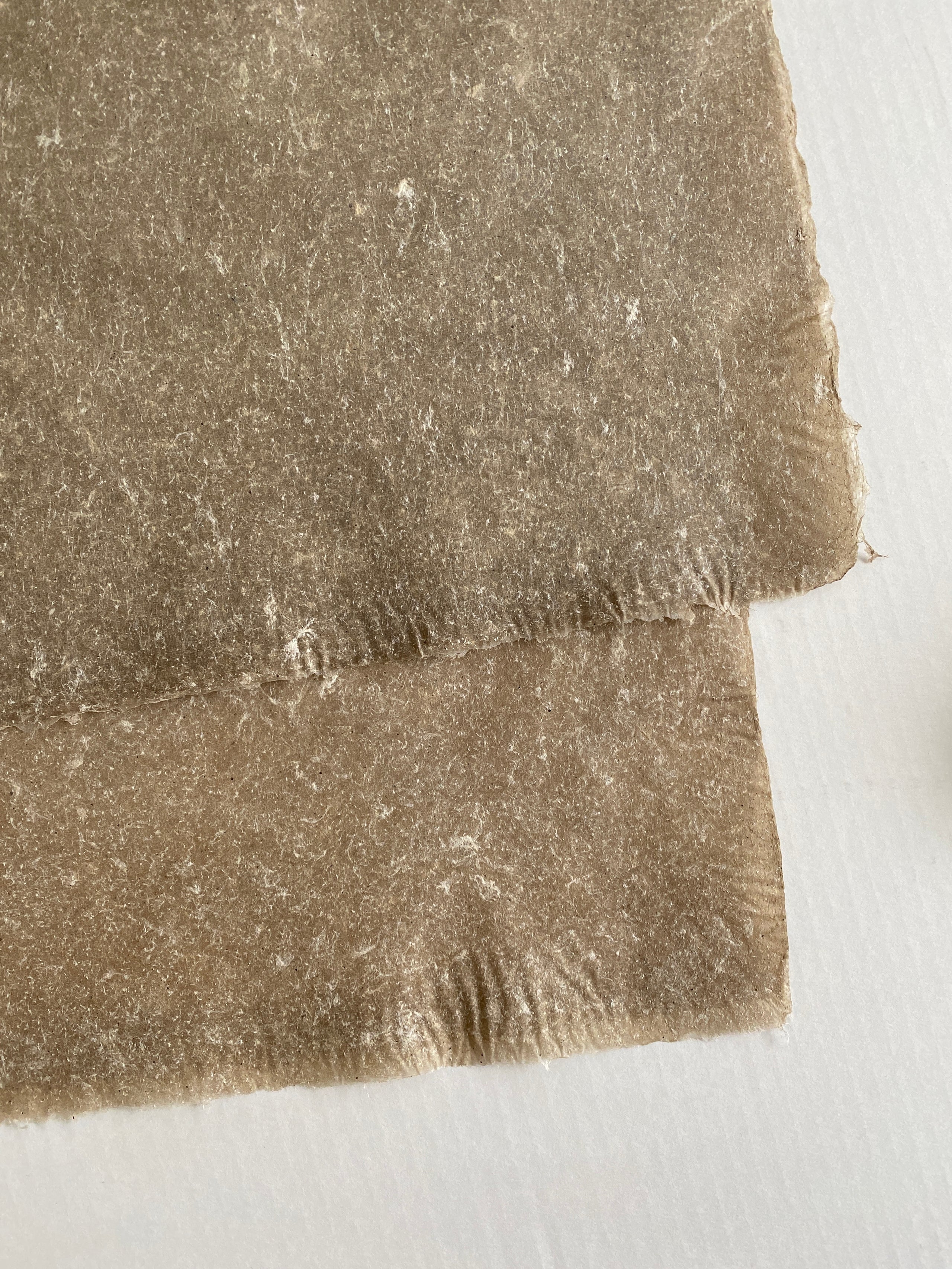 Specialty Thai Kozo/Abaca paper 25 x 37in | The Morgan Conservatory of ...